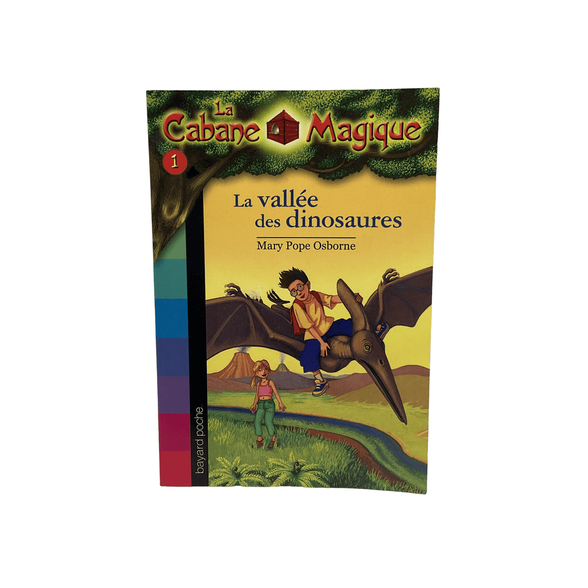 La cabane magique - La Vallée des Dinosaures Bayard d'occasion - KIDIBAM