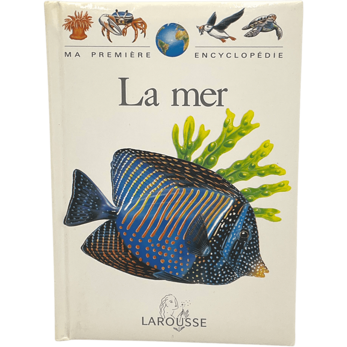 Ma première encyclopédie - La mer Larousse d'occasion - KIDIBAM